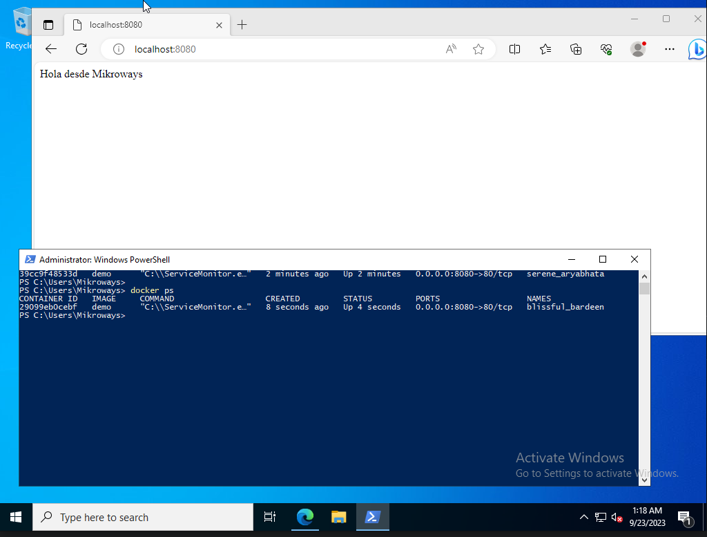 Contenedores nativos de Microsoft Windows usando docker